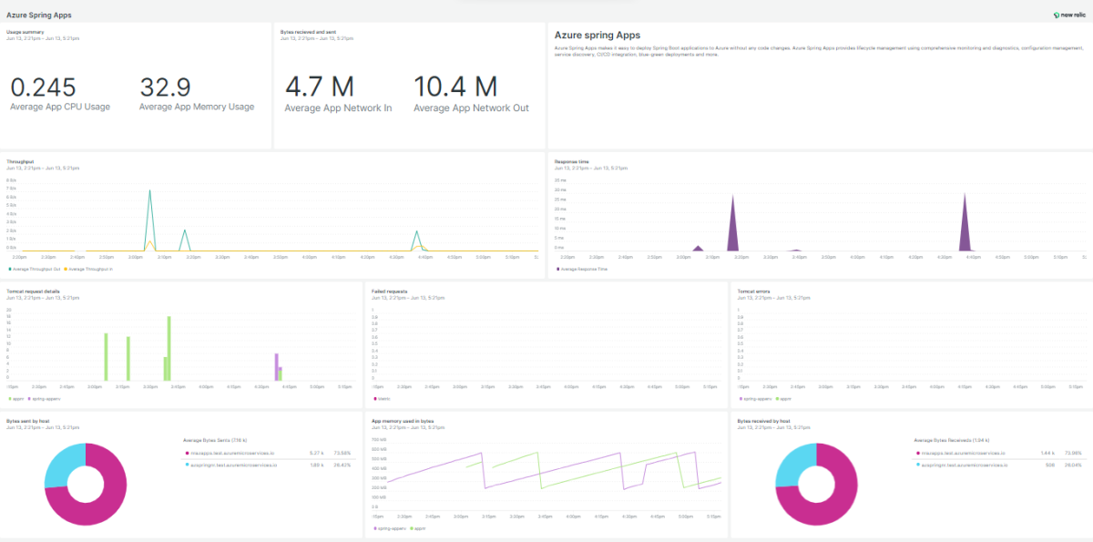 Azure Spring Apps New Relic 2487