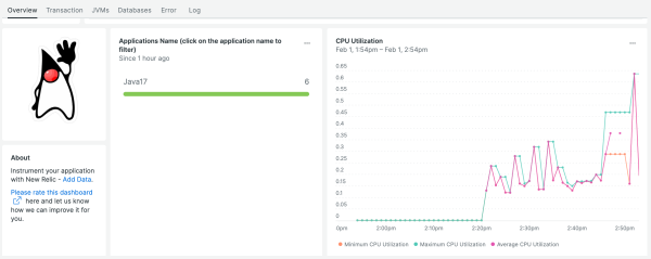 Java New Relic