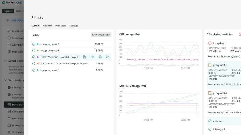 Infrastructure Monitoring | New Relic