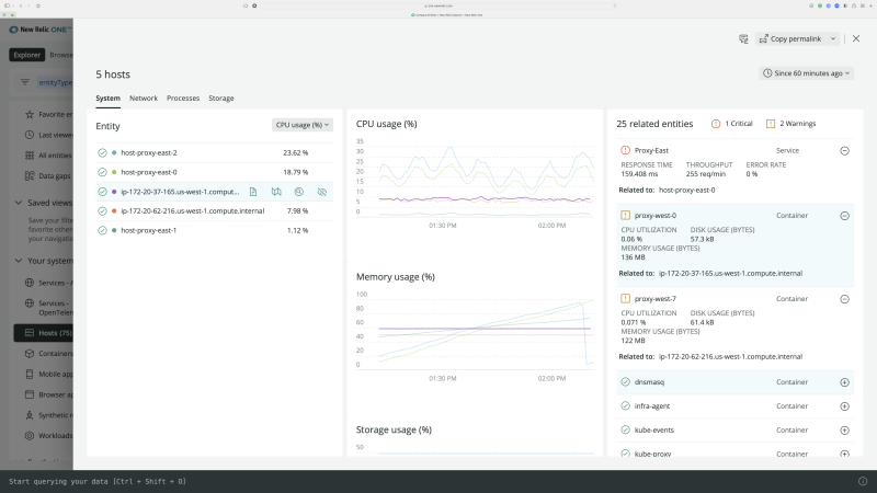 Infrastructure Monitoring UI for Faster Troubleshooting | New Relic