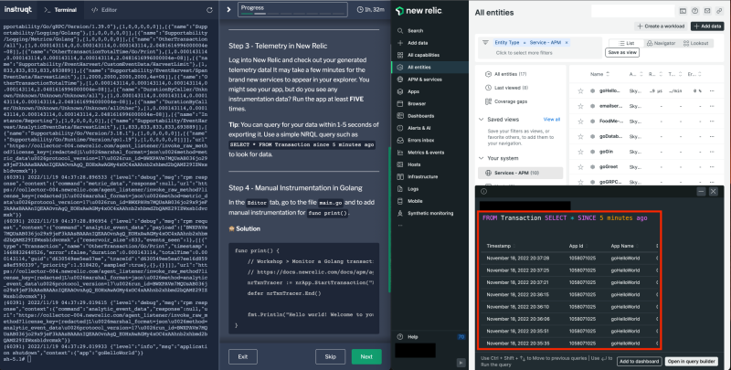 Top Tips for Instrumenting Golang | New Relic