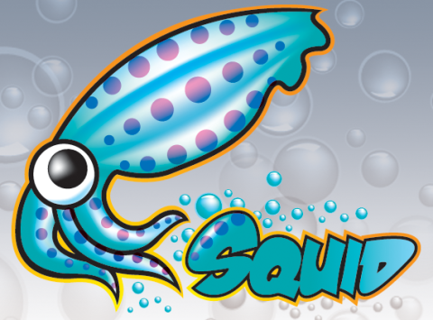 Squid (Prometheus) | New Relic