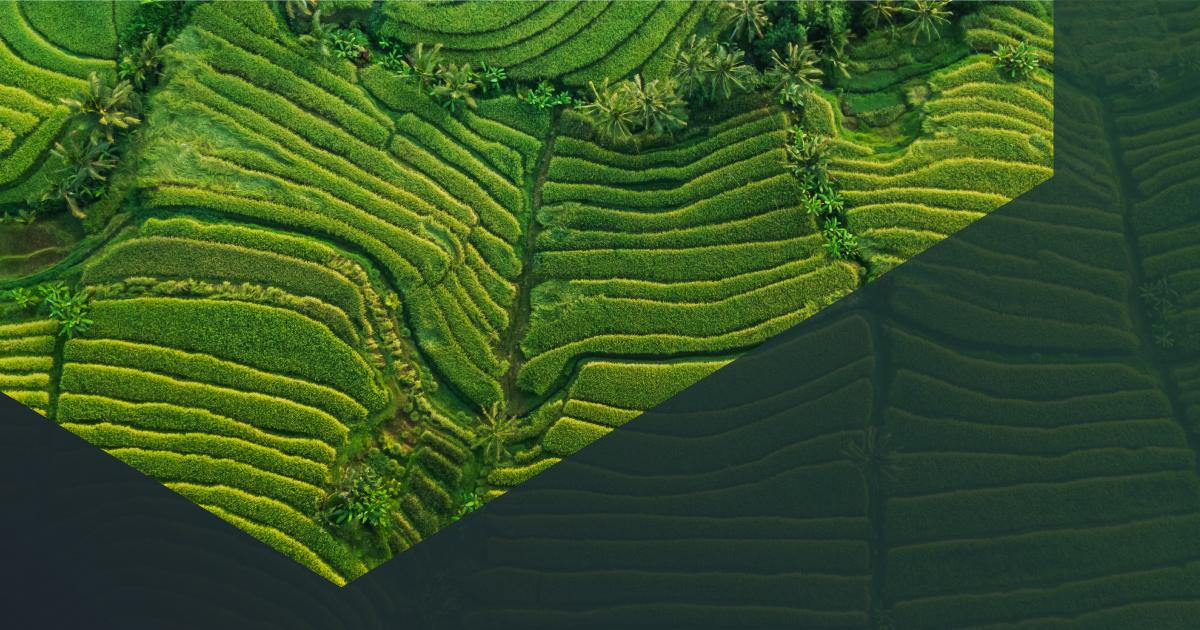 How to Implement Structured Logging Step-by-Step | New Relic