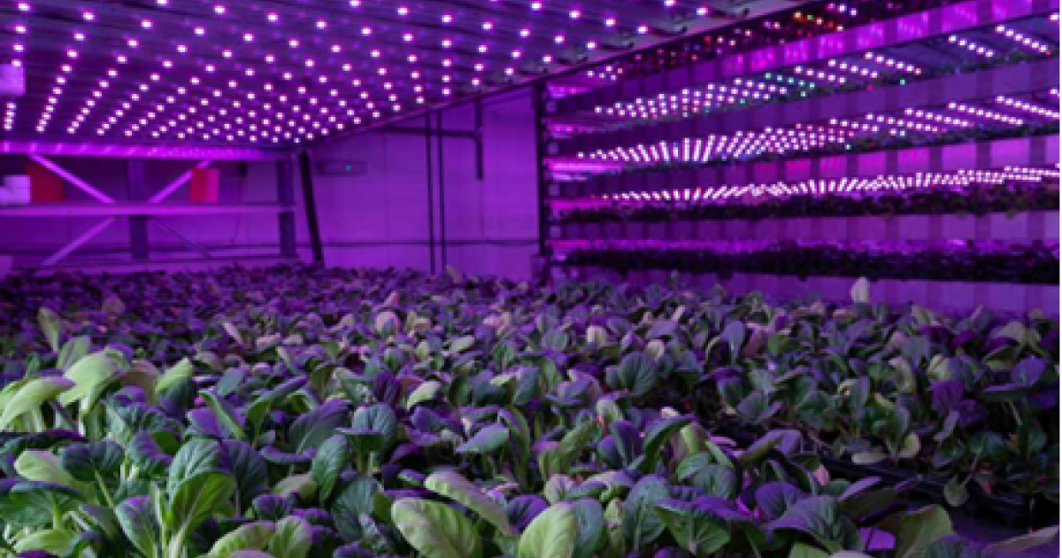 How IGS cut costs while improving monitoring | New Relic